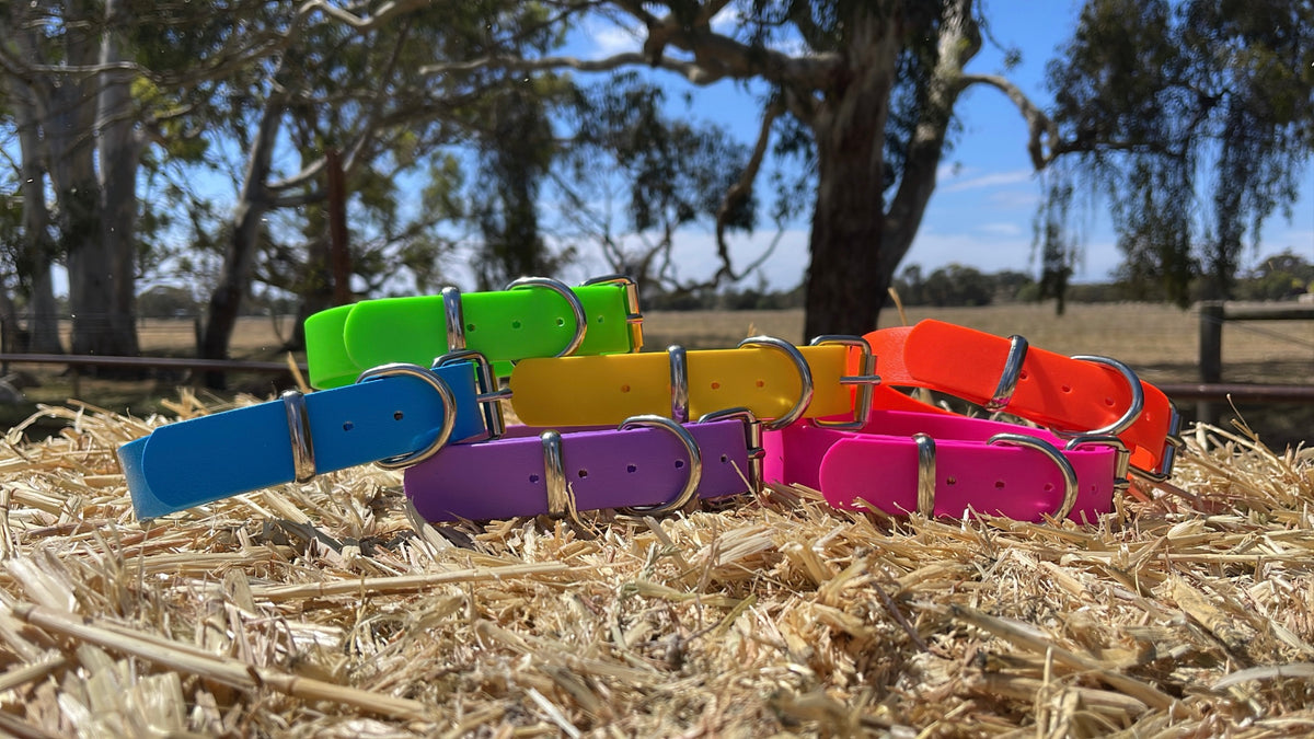 Kelpie Collar – Maggie Collars