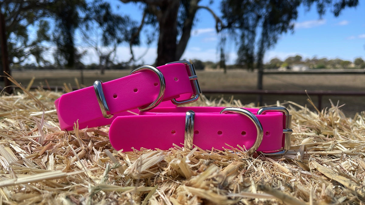 Hot Pink – Maggie Collars